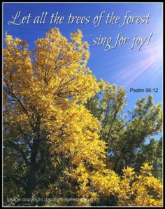 All the Trees ... Sing for Joy! - Davalynn Spencer
