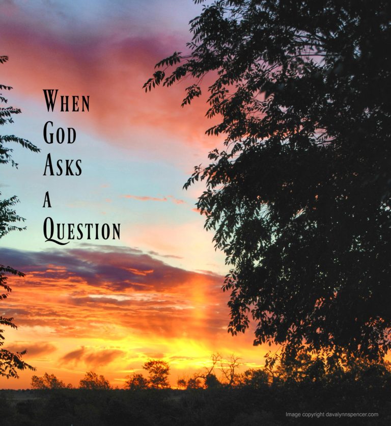 What Do You Say When God Asks You a Question? - Davalynn Spencer